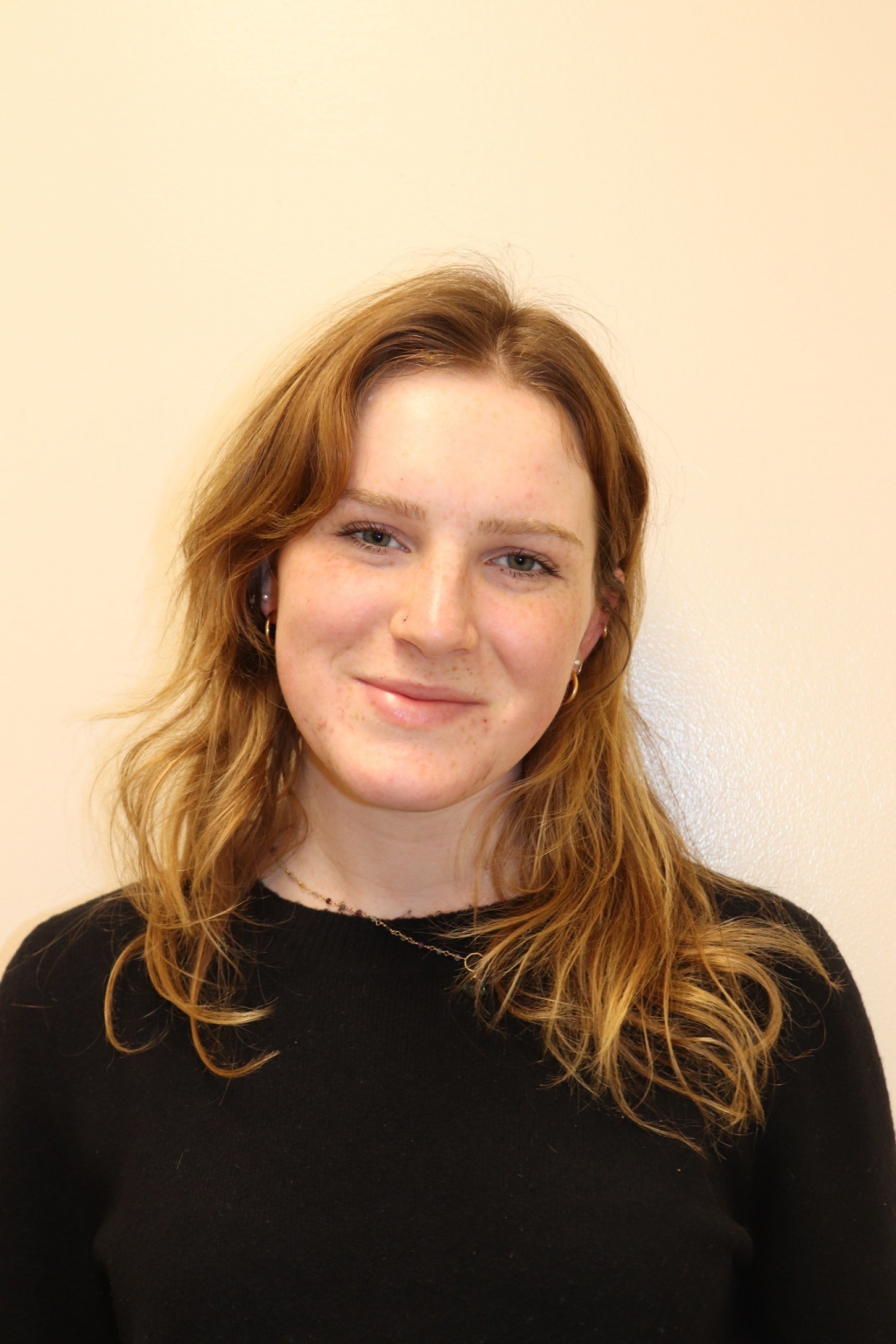 Andreas Malikopoulos | Information and Decision Science Lab